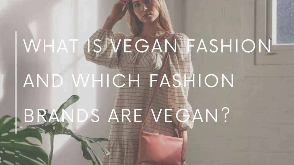 What Is Vegan Fashion And Which Fashion Brands Are Vegan?